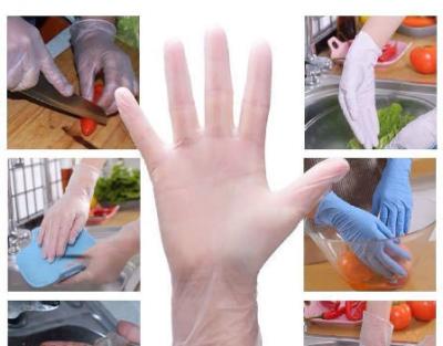 China Disposable Clear Vinyl Medical Examination Gloves Powder Free PVC 4 Mil 9.5 Inch for sale