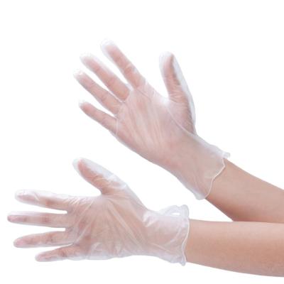 China Disposable Clear Vinyl Medical Exam Gloves Medium Powder Free 100 Pack 0.10mm Thickness for sale