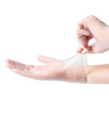 China Clear Vinyl Exam Gloves Latex-Free Disposable 4 Mil Medical Grade Food Safe Powder-Free for sale