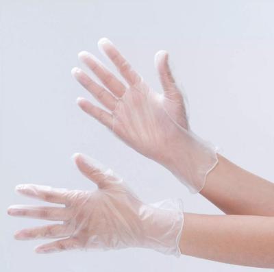 China Disposable Vinyl Gloves Powder Free FDA Food Safe 100 Count Box 10 Boxes Case for sale
