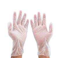 China Clear Powder Free Disposable Vinyl Gloves Large 100 Pack Medical Exam 240mm Length for sale
