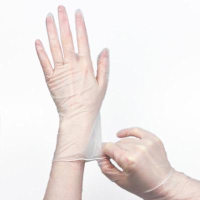 China Powder Free Clear Vinyl Gloves for Food Handling 240mm Length XS-XL for sale