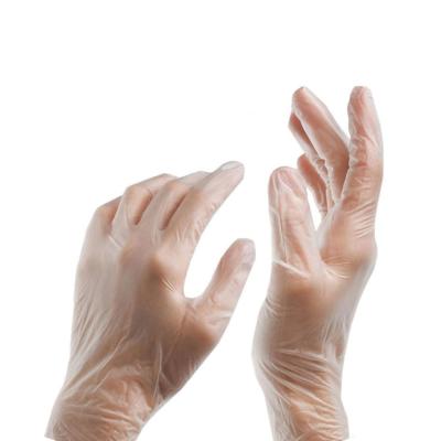 China Medical Food Grade Powder Free Vinyl Gloves 100pcs Box Multi Colors Sizes XS to XL for sale