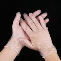 China Clear Vinyl Disposable Gloves Latex Free Powder Free 100 Pack Food Safe Kitchen Cooking for sale