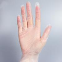 China Clear Powder Free Vinyl Disposable Plastic Gloves Smooth Touch for sale
