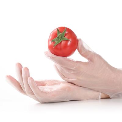 China Clear Vinyl Gloves Food Safe Disposable 100 Pcs Latex Free Powder Free S-XL for sale