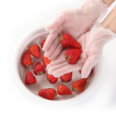 China No Powder Medical Vinyl Examination Gloves Latex Free Disposable 100pcs per Box S M L XL for sale