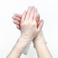 China Transparent Vinyl Powder Free Disposable Gloves 240mm Waterproof Household for sale