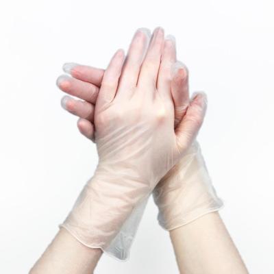 China Transparent Vinyl Powder Free Disposable Gloves 240mm Waterproof Household for sale