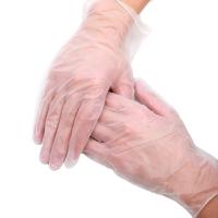 China Disposable Clear Vinyl Gloves Powder Free Food Safe 100 Count Large Size for sale