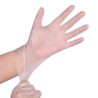 China Disposable Clear Vinyl Gloves Powder Free Food Safe 100 Count Large Size for sale