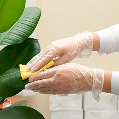 China 4 Mil Thick Clear PVC Disposable Gloves Latex Free Powder Free 1000 Count for sale