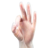 China Powder Free Disposable Vinyl Gloves Food Grade PVC Gloves 240mm Length 0.10mm Thickness for sale