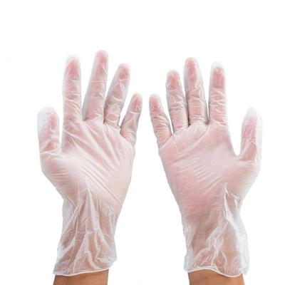 China Food Grade Powder Free Disposable Vinyl Gloves Medium 240mm Waterproof for sale