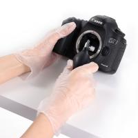 China Clear Food Grade Powder Free PVC Vinyl Gloves 240mm Length for Household Cleaning for sale