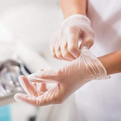 China Disposable Vinyl Gloves 1000 Pack Powder Free Latex Free Food Safe Cleaning Gloves S M L XL for sale