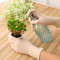 China Clear Transparent PVC Disposable Vinyl Gloves Powder Free 100 Pieces Box Food Safe for sale