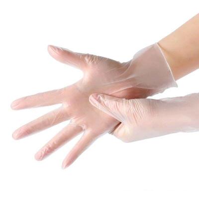 China Clear Transparent Vinyl Disposable Gloves Powder Free Food Grade PVC S/M/L/XL 1000pcs for sale