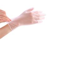 China Powder Free Vinyl Disposable Gloves Large 100 Pack 3 Mil Medical Exam Gloves Latex Free for sale