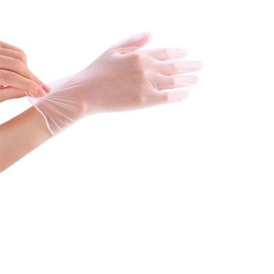 China Powder Free Vinyl Disposable Gloves Large 100 Pack 3 Mil Medical Exam Gloves Latex Free for sale