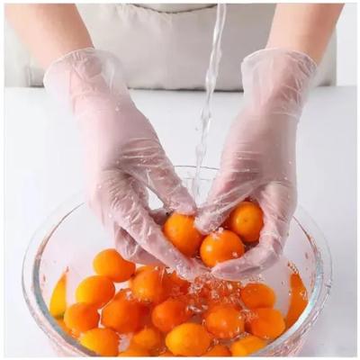 China Clear Powder Free Vinyl Disposable Gloves 4 Mil Thick for Medical Specimen Transport for sale