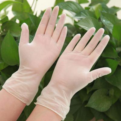 China Transparent Vinyl Gloves Latex Free PVC Food Grade 12 Inch 100pcs Box for sale