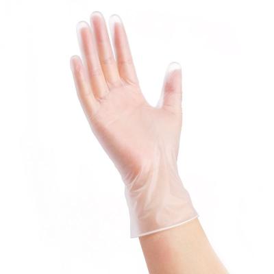 China Disposable Transparent PVC Vinyl Gloves Powder Free 240mm Length Industrial Grade for sale