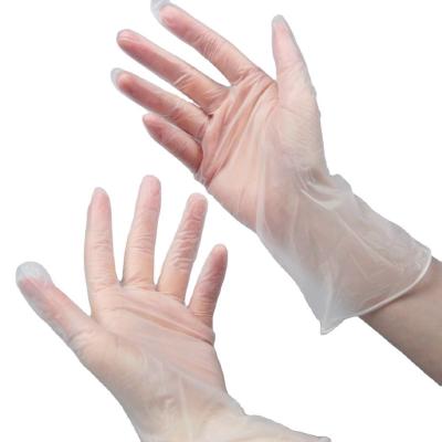 China Disposable Powder Free Vinyl Gloves Food Grade 3 Mil PVC S M L XL for sale