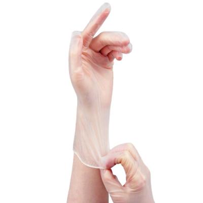 China AI650 Transparent Powder Free Disposable Vinyl Gloves Food Grade 3 Mil PVC for sale