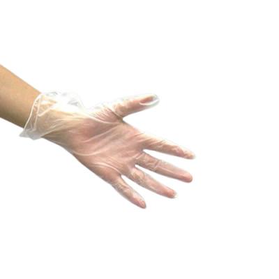 China Food Grade PVC Clear Disposable Vinyl Gloves Powder Free 100pcs 240mm Length for sale