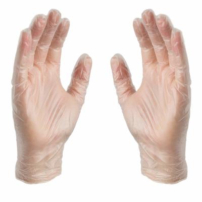 China Ai 650 Food Grade Disposable Vinyl Gloves Powder Free PVC 240mm Length 0.10mm Thickness for sale