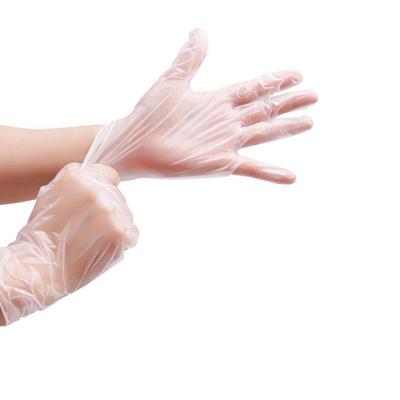 China Customized 100pcs Vinyl Food Grade Waterproof Powder Free PVC Gloves 0.10mm Thickness for sale