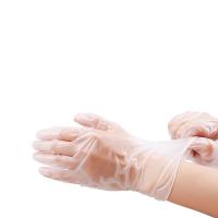 China 100 Pcs Box PVC Disposable Vinyl Gloves Safety Inspection Green Powder Free 240mm Length for sale