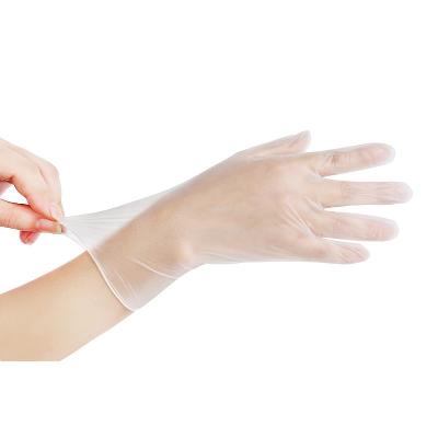 China Vinyl Powder Free Disposable Gloves Waterproof Transparent 240mm Household Cleaning for sale