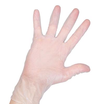 China Food Grade Disposable PVC Vinyl Gloves 1000pcs S/M/L/XL for Household Cleaning for sale