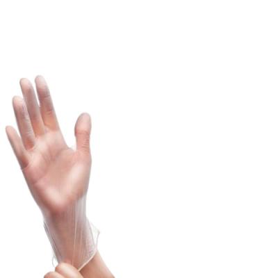 China Disposable Powder Free Vinyl Gloves PVC 4 Mil Thick for Cleanroom Working for sale