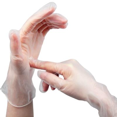 China Wholesale PVC Powder Free Disposable Vinyl Gloves Clear Transparent S M L XL 240mm for sale