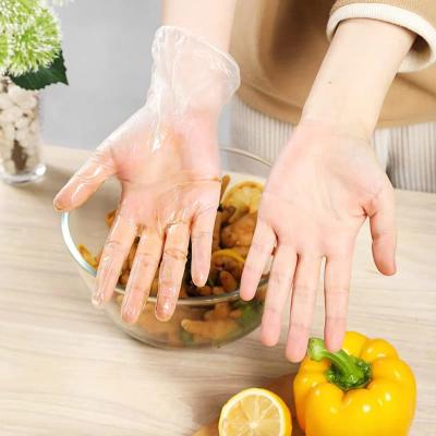 China Industrial Disposable Vinyl Gloves Powder Free PVC 240mm Length for Food Handling for sale