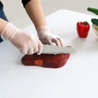 China TPE Plastic Disposable Vinyl Gloves Food Grade Clear Color for sale