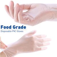 China Clear Vinyl Disposable Gloves Powder Free Food Processing Medical 240mm Length S to XL for sale