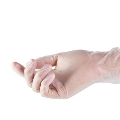 China Disposable Transparent PVC Powder Free Vinyl Gloves 3 Mil Food Service for sale