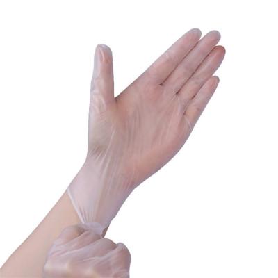 China Personal Protective PVC Transparent Clear Vinyl Gloves Powder Free Disposable for sale