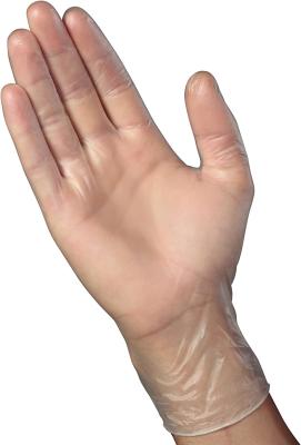 China Clean Disposable Latex Free Beaded Cuff Gloves Vinyl 100ct Clear for sale