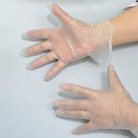 China Disposable Vinyl Gloves Powder Free Clear Latex Free 240mm Length XS to XL for sale