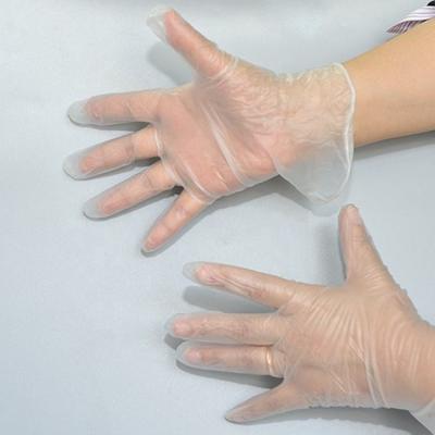 China Disposable Vinyl Gloves Powder Free Clear Latex Free 240mm Length XS to XL for sale