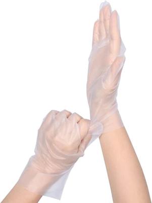 China Latex Free Powder Free Disposable Gloves for Kids Ages 3-10 200 Pieces Multipurpose Use for sale