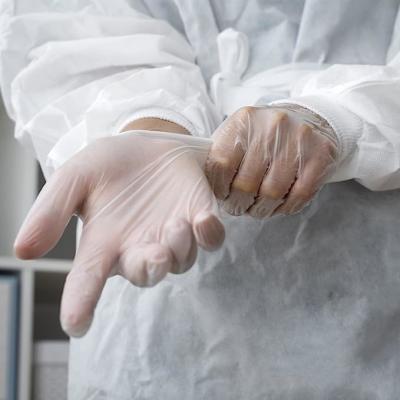 China Powder Free Vinyl Gloves Large Clear Disposable Latex Free Non Sterile 240mm Length 0.10mm Thickness for sale