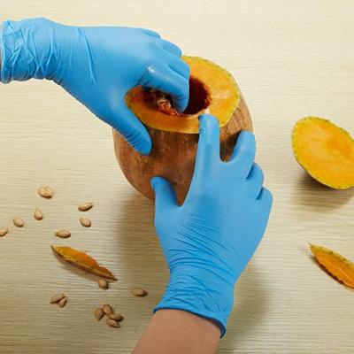 China Disposable Nitrile Gloves Latex Free Powder Free Blue Large Size 240mm Length for sale