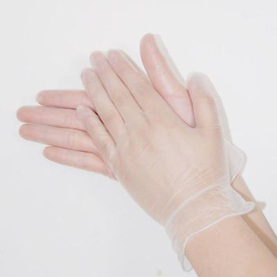 China 9 Inch 12 Inch Industrial Vinyl Gloves Powder Free 100pcs per Box for sale