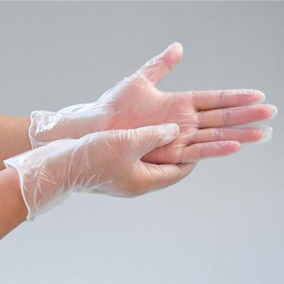 China Powder Free Vinyl Hand Gloves 9 Inch 12 Inch Clear Disposable Food Safe for sale